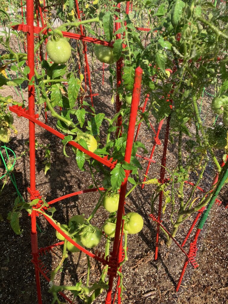 Massillon Community Health Garden 2025 Harvest Tracker - City of Massillon